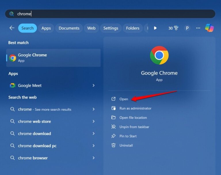 在 Chrome 中修复“chrome-error：//chromewebdata”的 8 大方法-表盘吧